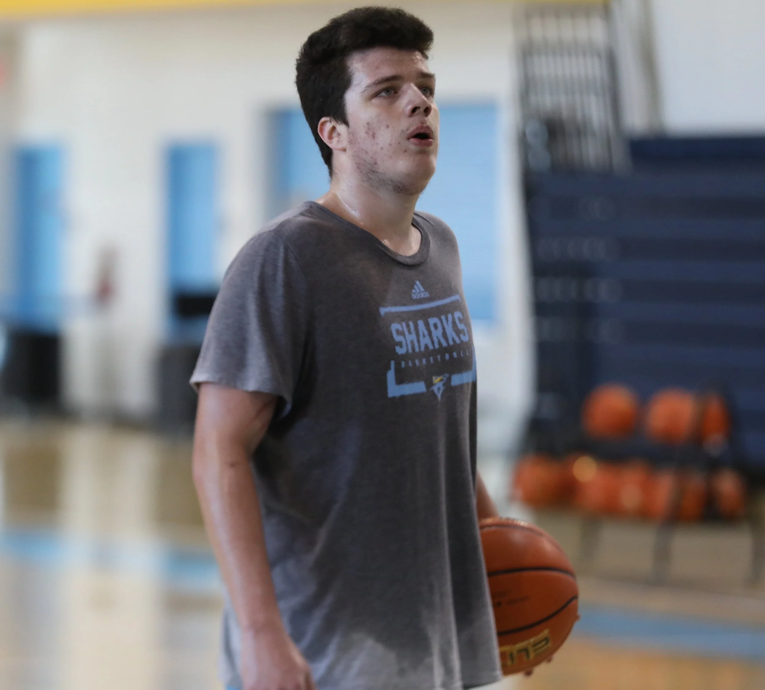 Maletic where he belongs — getting his shot in Division I hoops ...