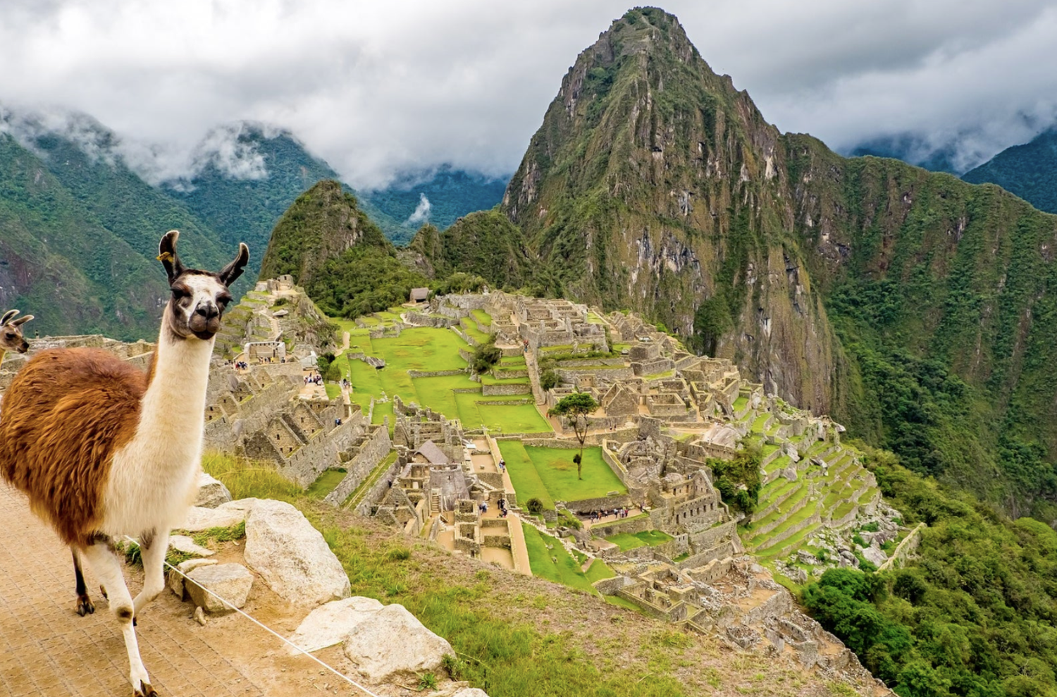 Peru — migration tales