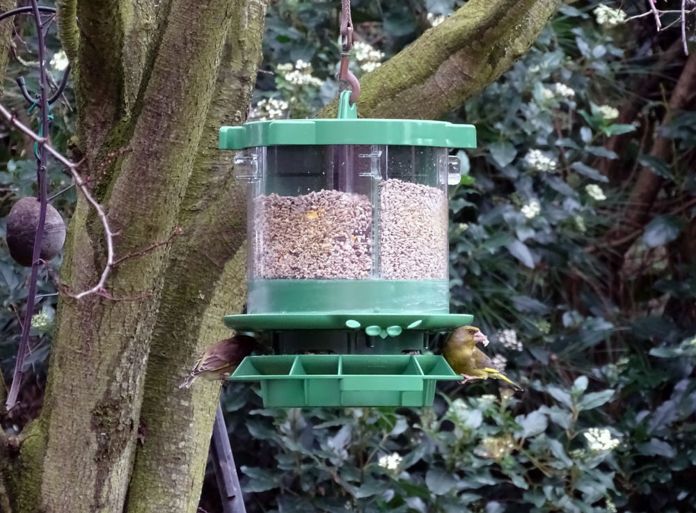 Cleaner Feeder 1 — Finches Friend — High quality, easy clean bird feeders
