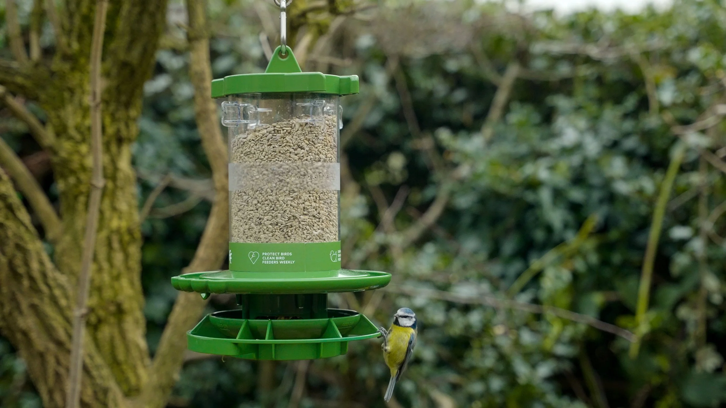 Cleaner Feeder 2 — Finches Friend — High quality, easy clean bird feeders
