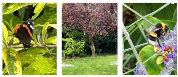 To mow or not to mow? That is the question. A view from Dick and Tina ...