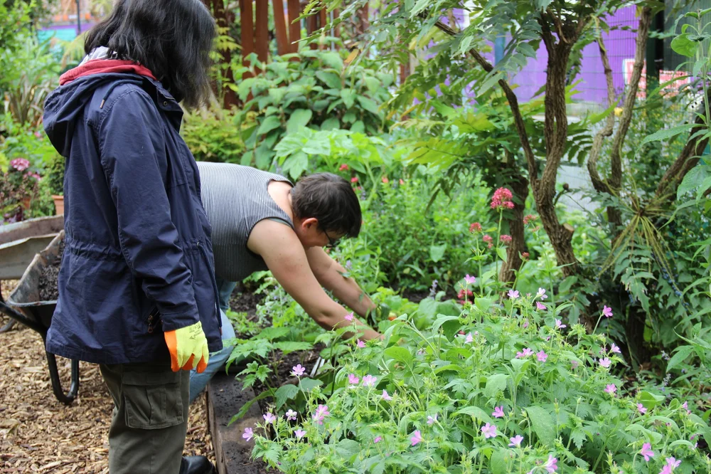 Upcoming Workshops | Walworth Garden