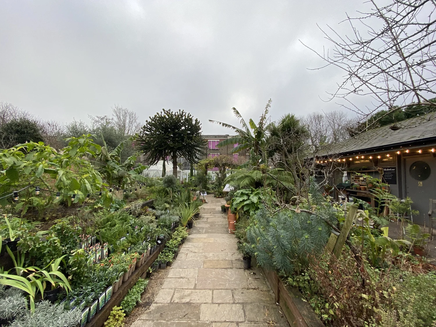 Careers | Walworth Garden