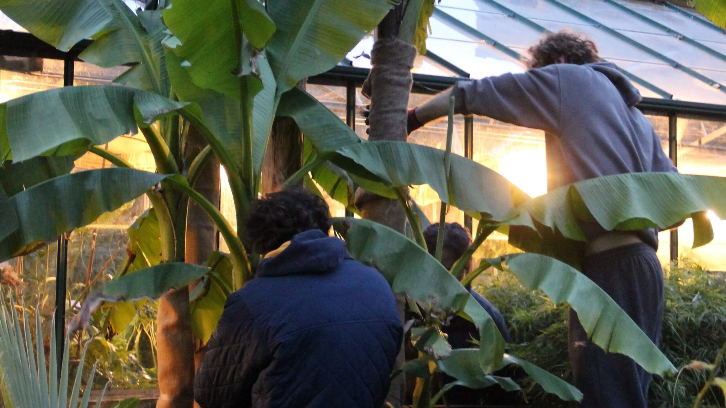 More than a community garden | Walworth Garden