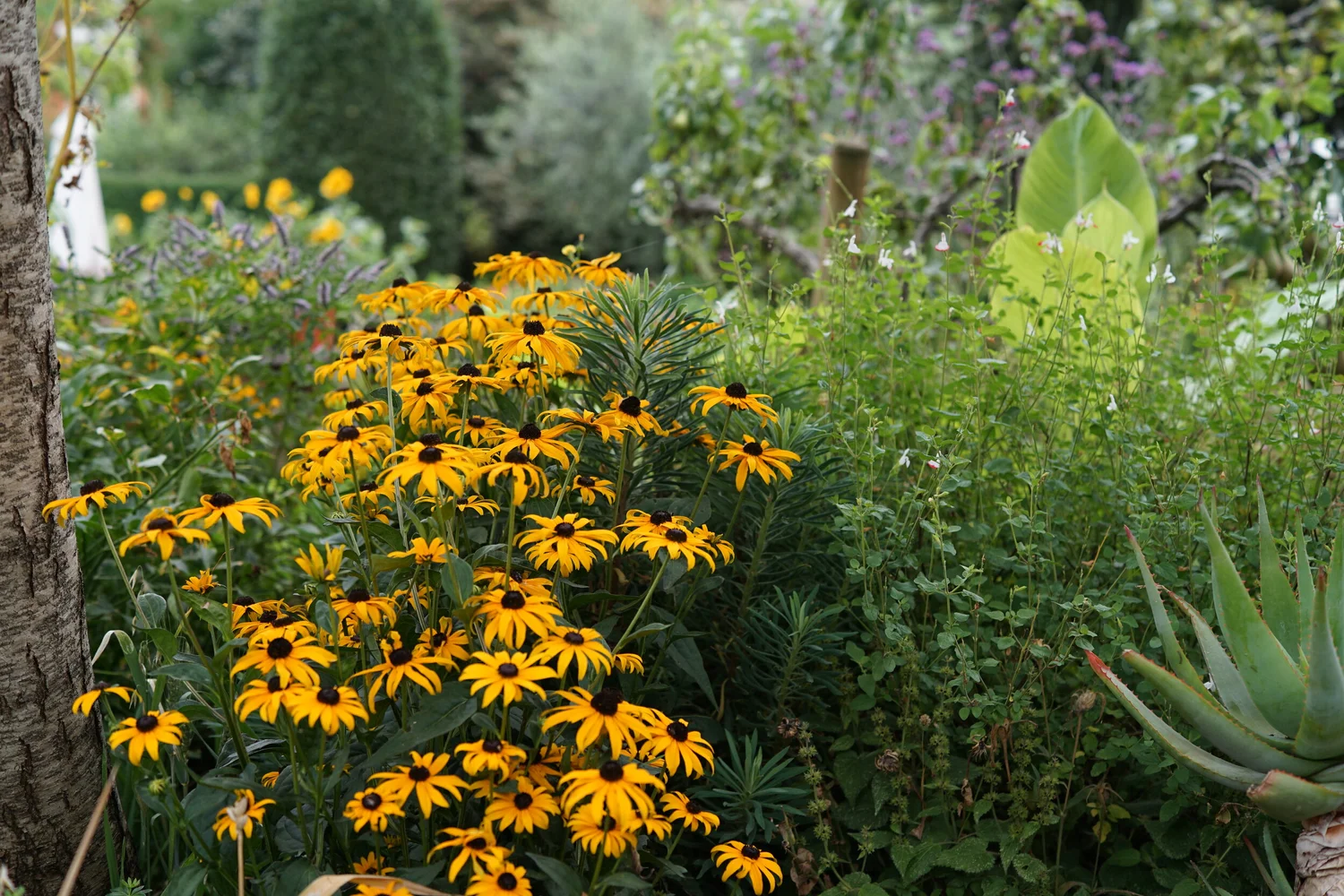Supporting London Community Gardens | Walworth Garden