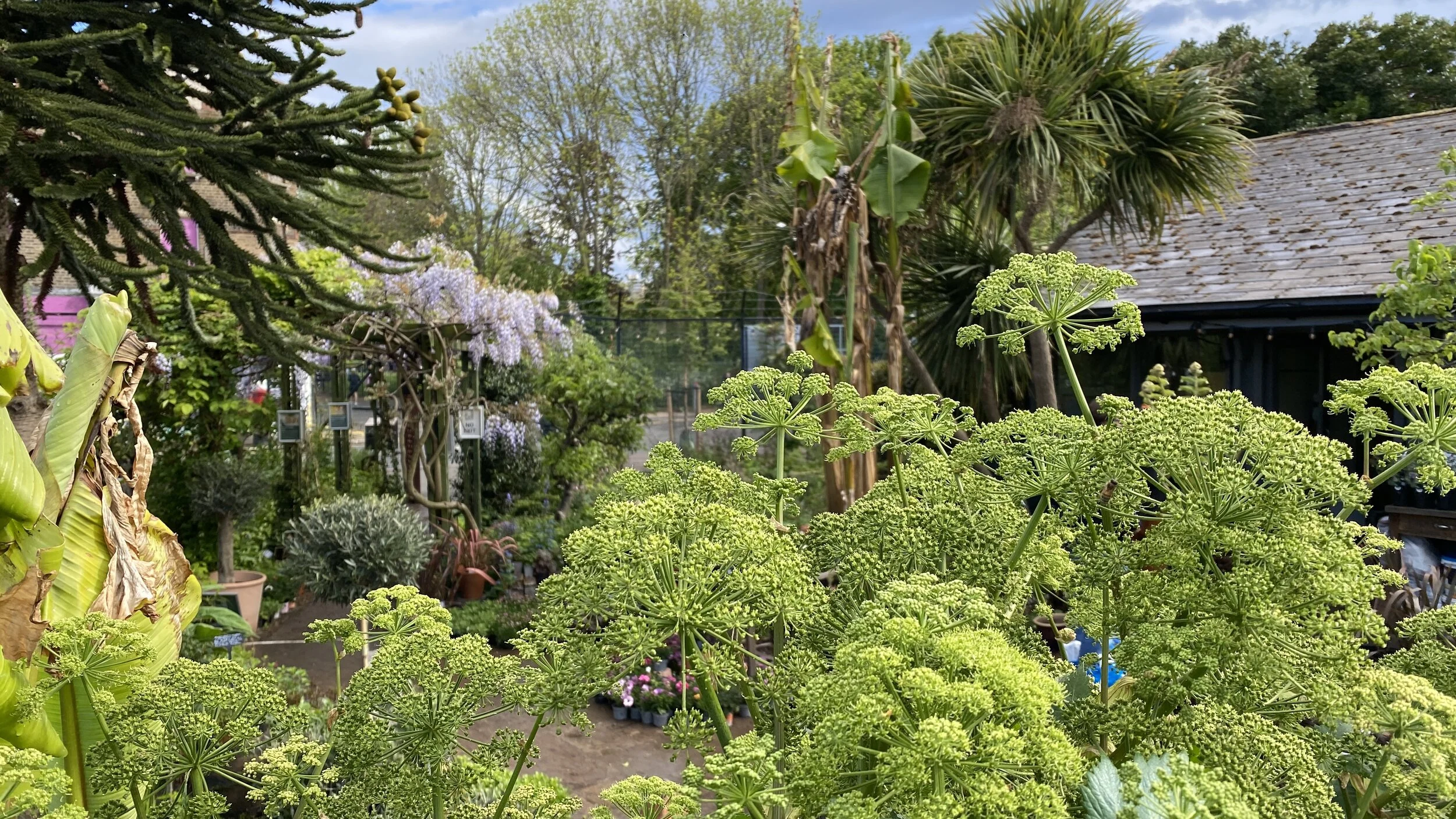 Walworth Garden | A charity dedicated to knowledge and nurture