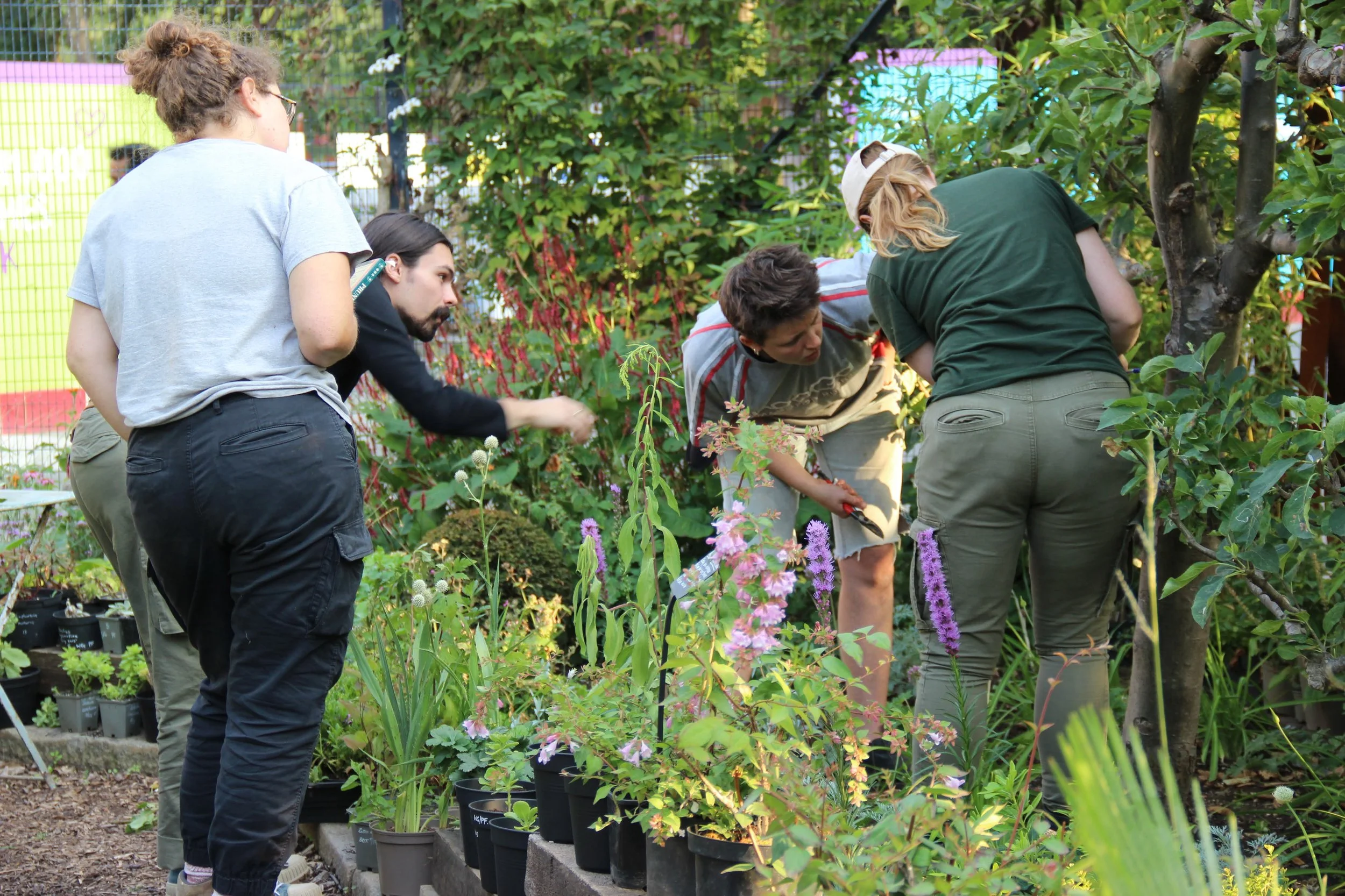 Walworth Garden Workshops | Walworth Garden