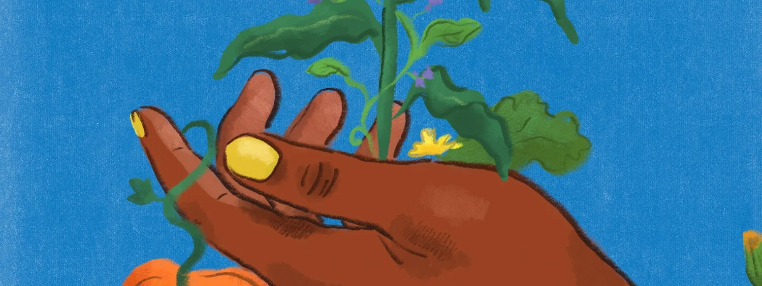 Connecting Roots: Plants and Stories from South America and the ...