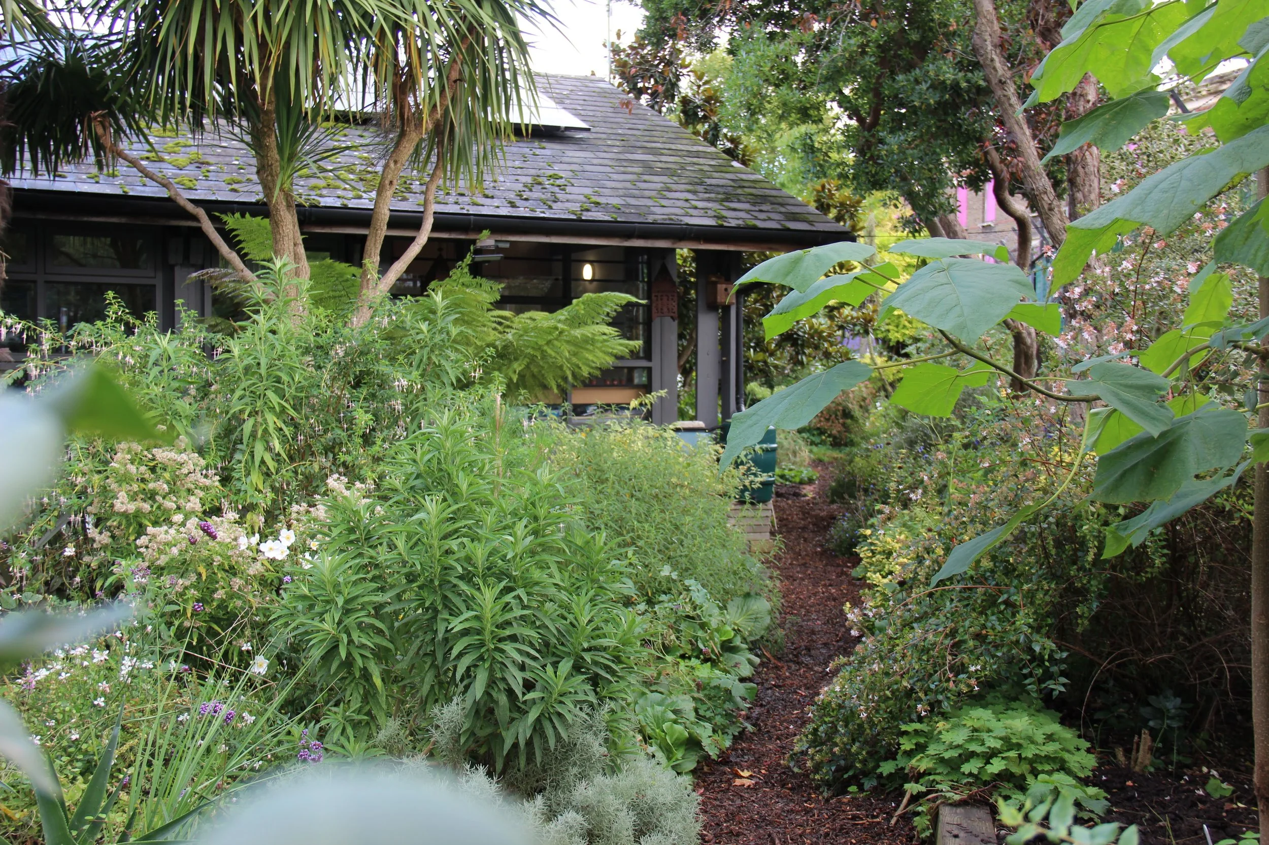 Walworth Garden | A charity dedicated to knowledge and nurture