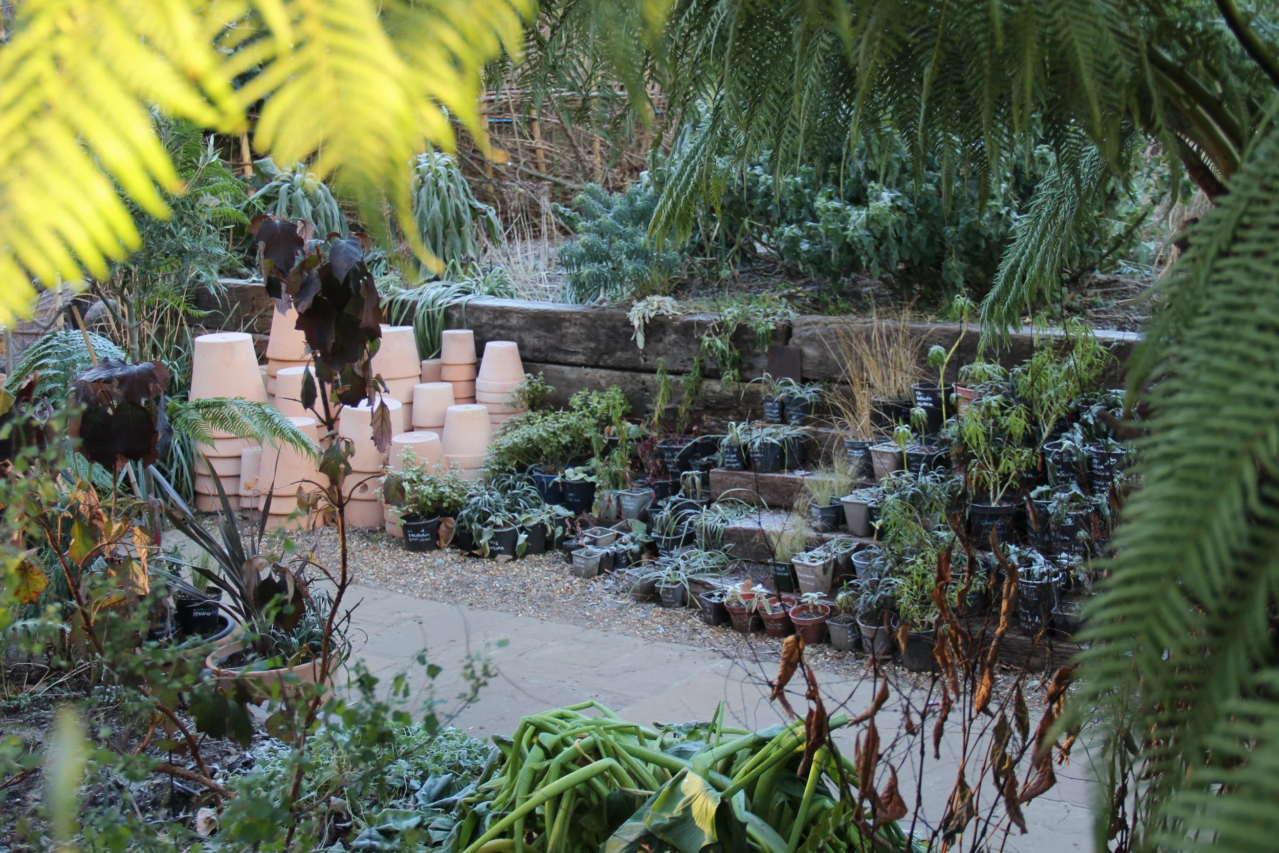 Beyond Organic Principles | Walworth Garden