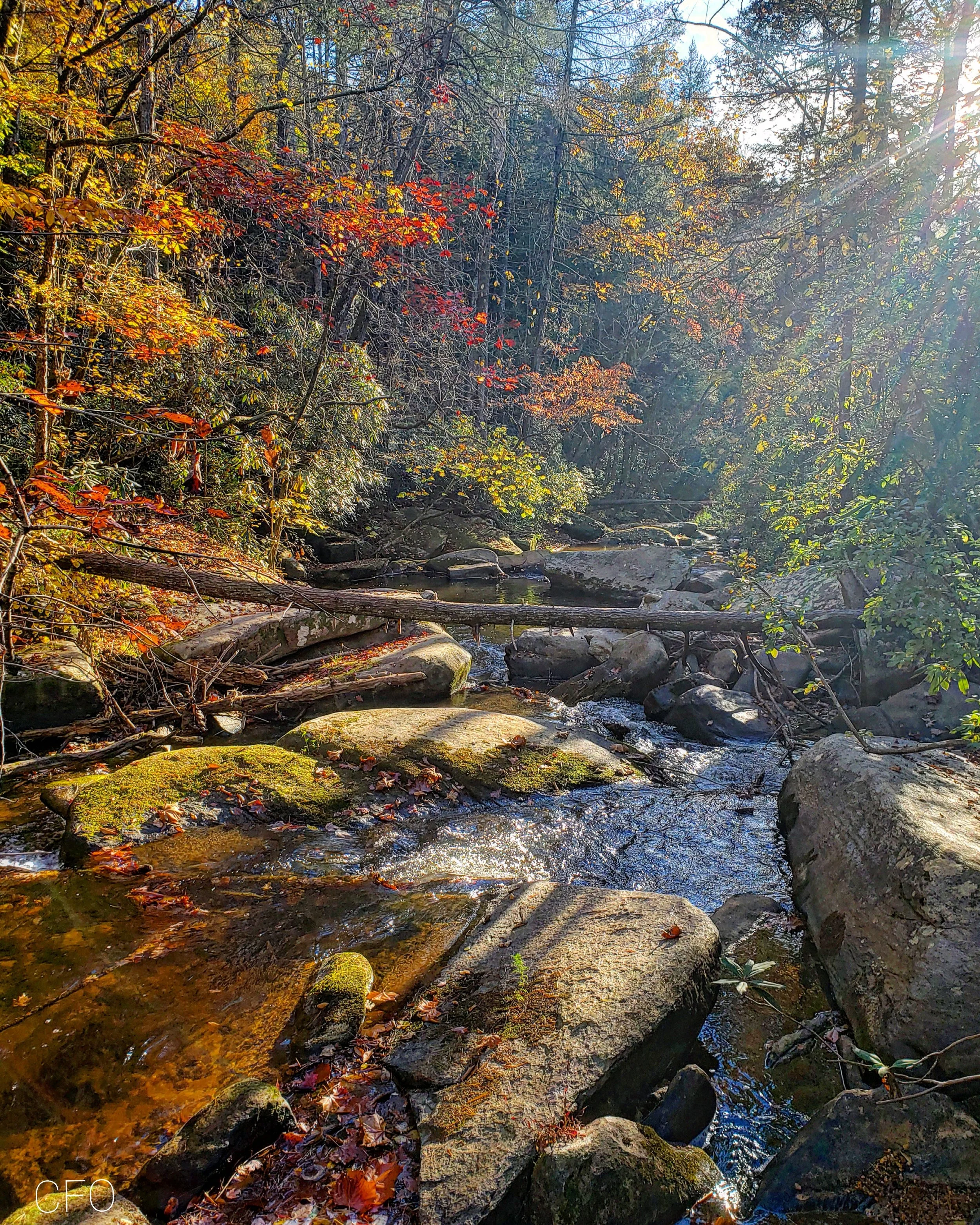 Eastatoee River | Crooked Feather Outfitters