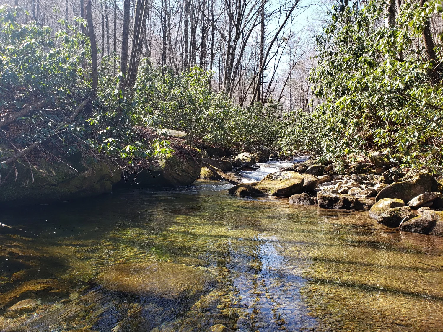 Saluda River | Crooked Feather Outfitters