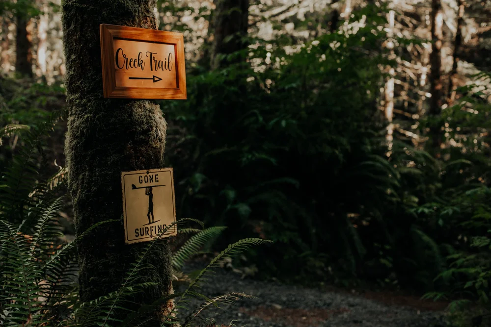 Cabins — Fern Gully Cabins