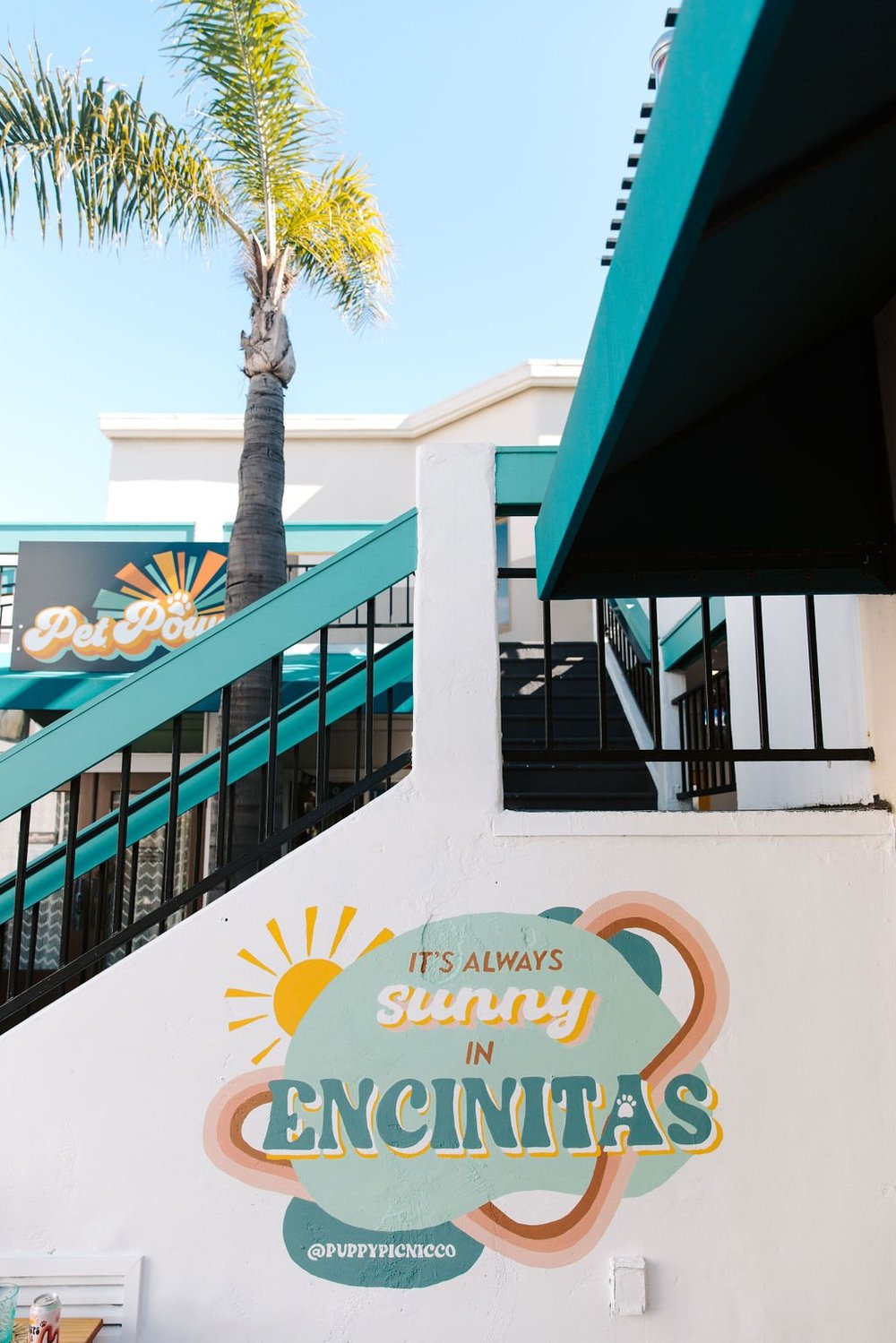 Encinitas Storefront — Puppy Picnic Co.