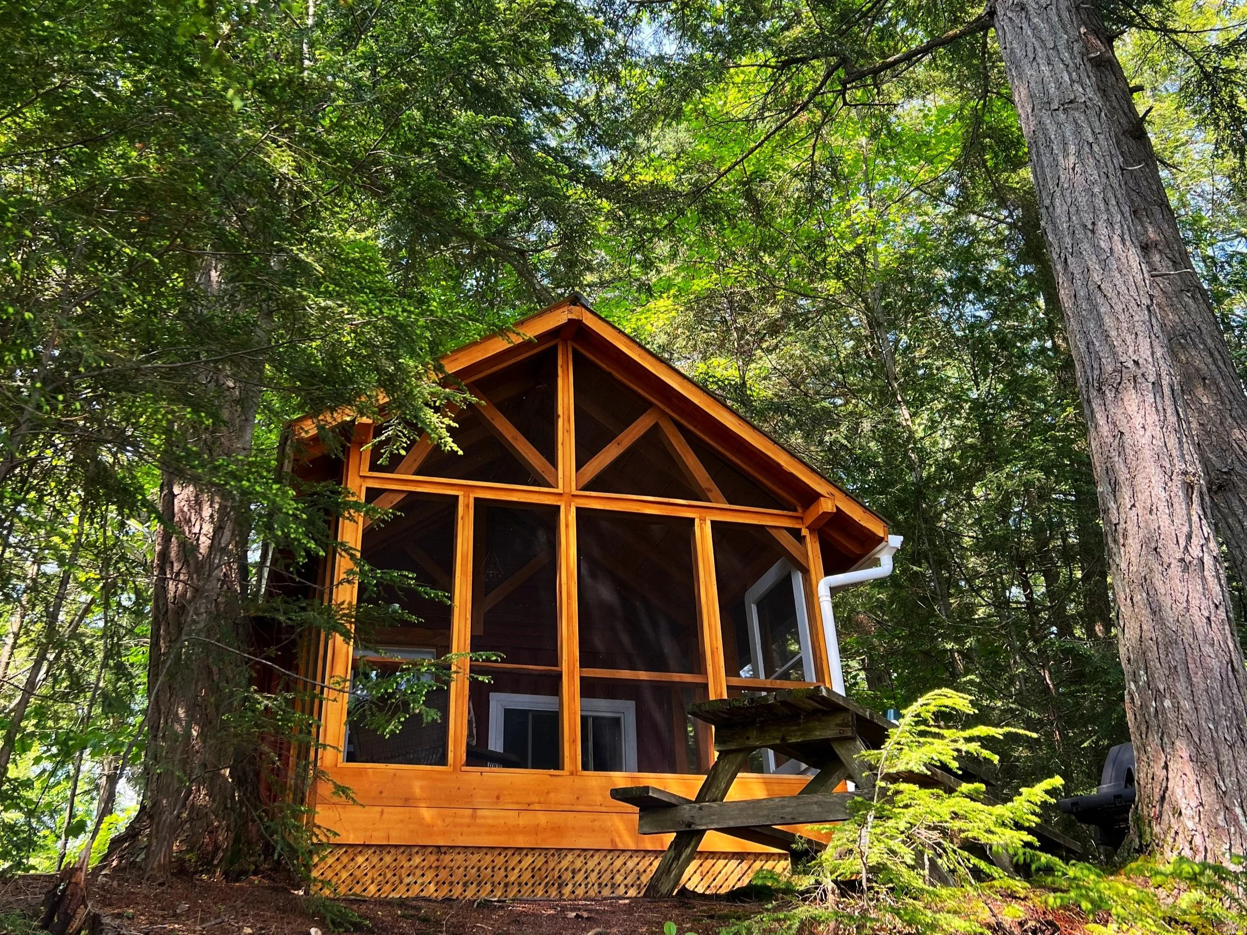 Resort Cabins — Northern Skies Resort