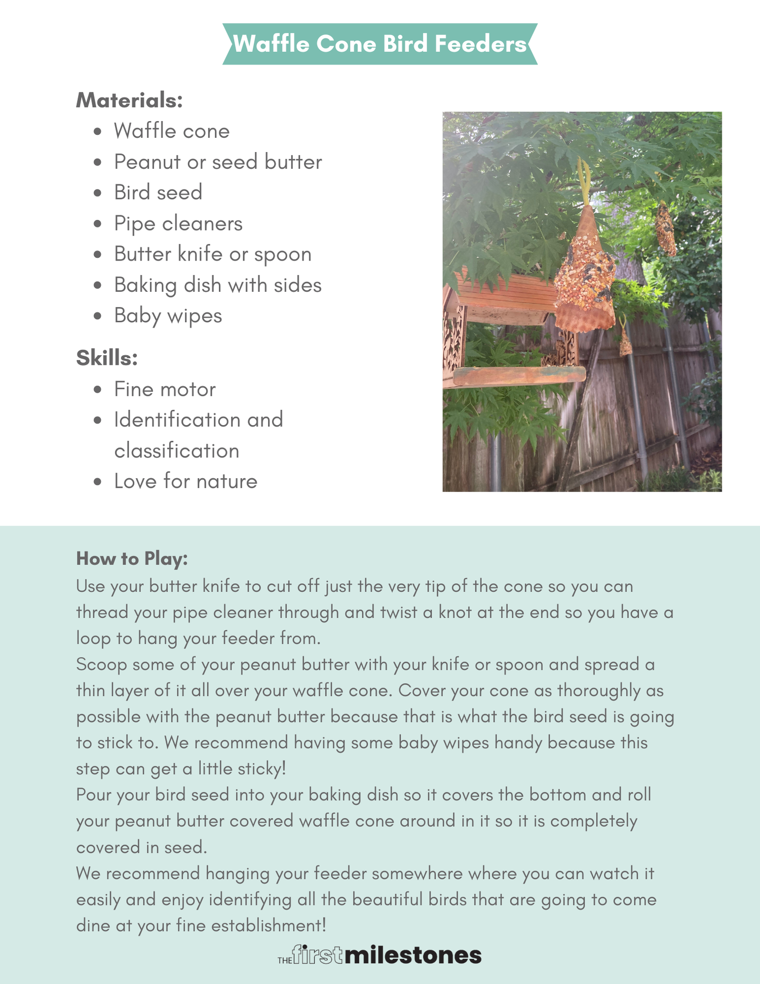 Waffle Cone Bird Feeder — The First Milestones