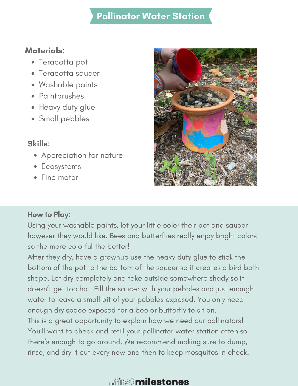 Pollinator Water Station — The First Milestones