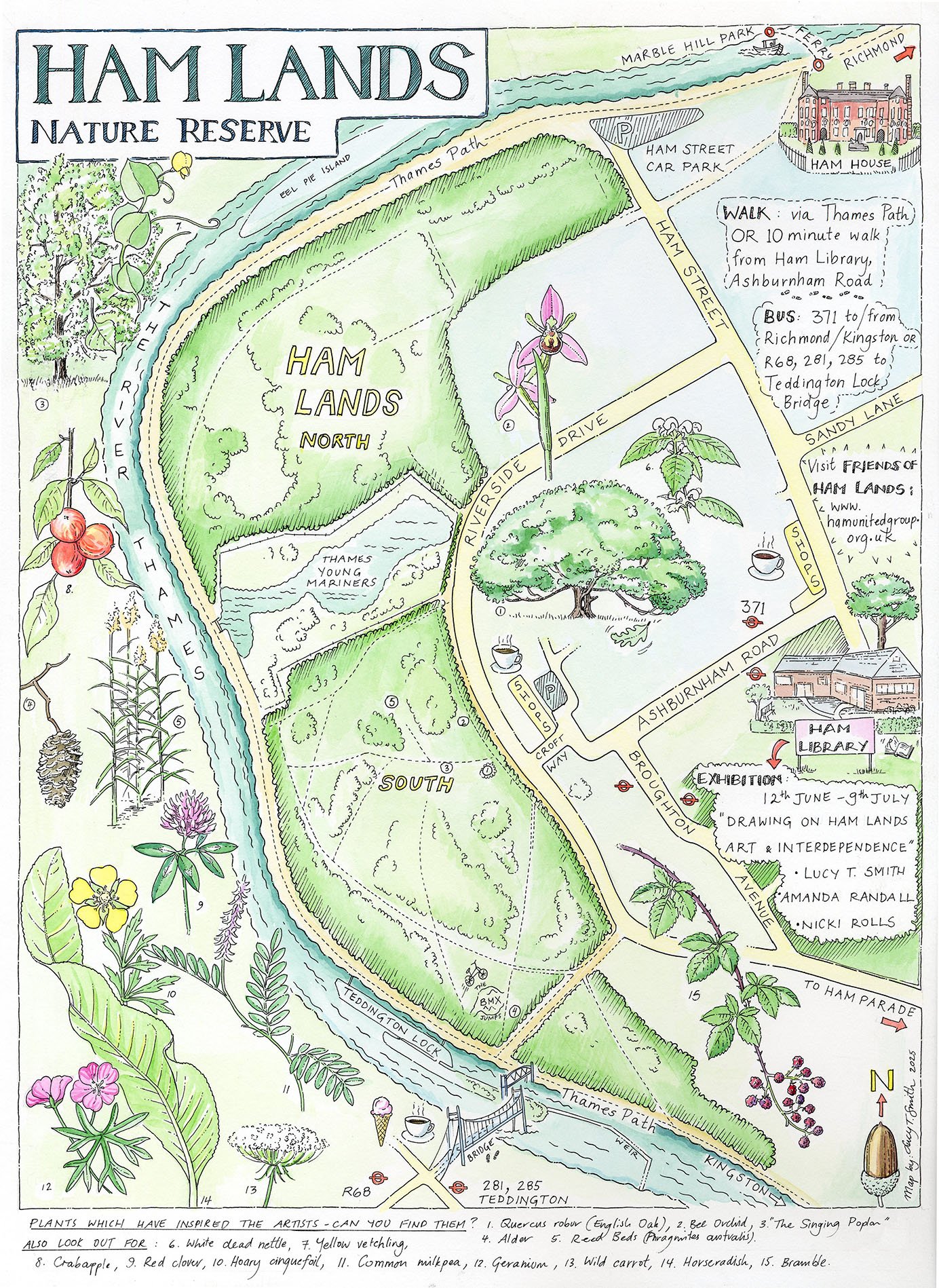 About — Lucy T Smith - Botanical Artist