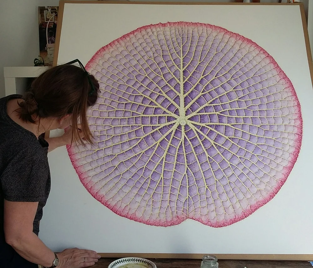 Botanical Art Illustration Courses Talks — Lucy T Smith - Botanical Artist