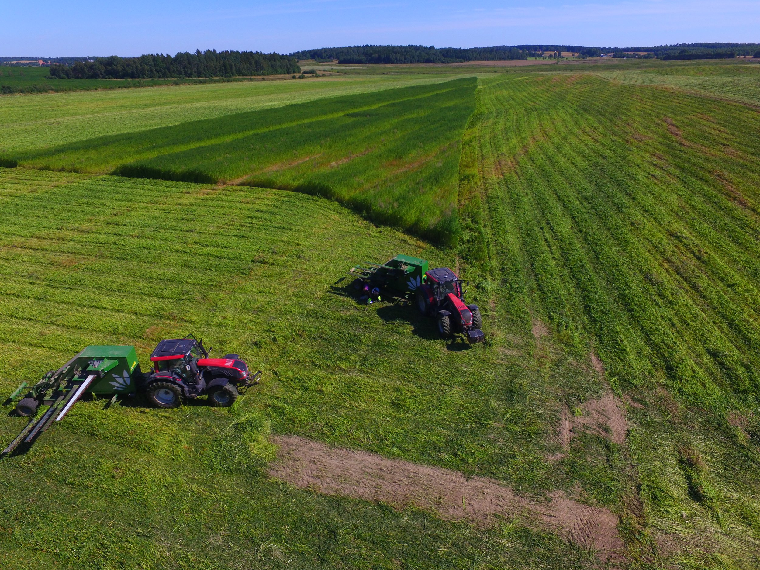 Industrial hemp cutter