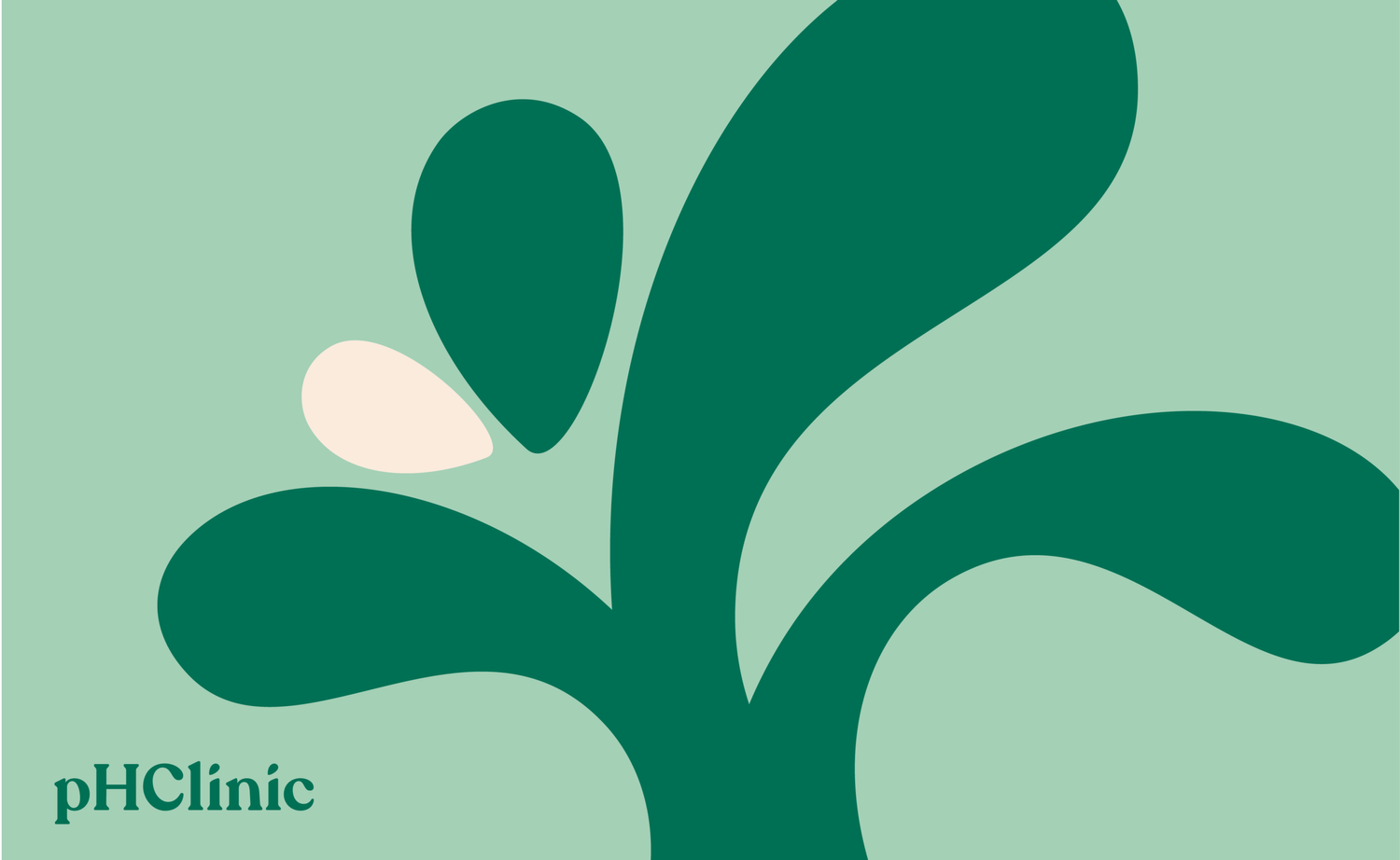 Brand Identity Design for pH Clinic — Amanda chetwynd