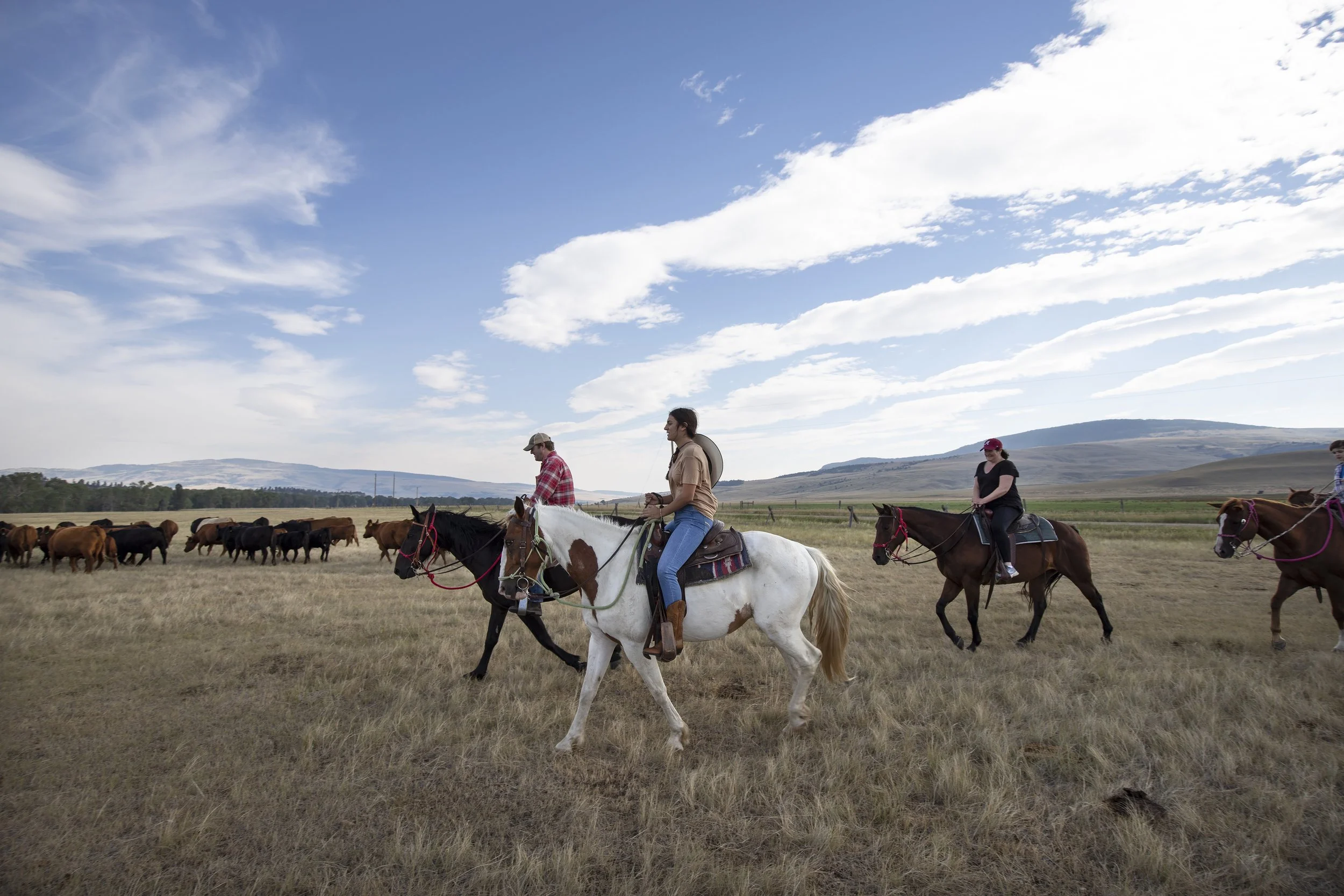 Adventures — Circle Bar Ranch — Montana Dude Ranch