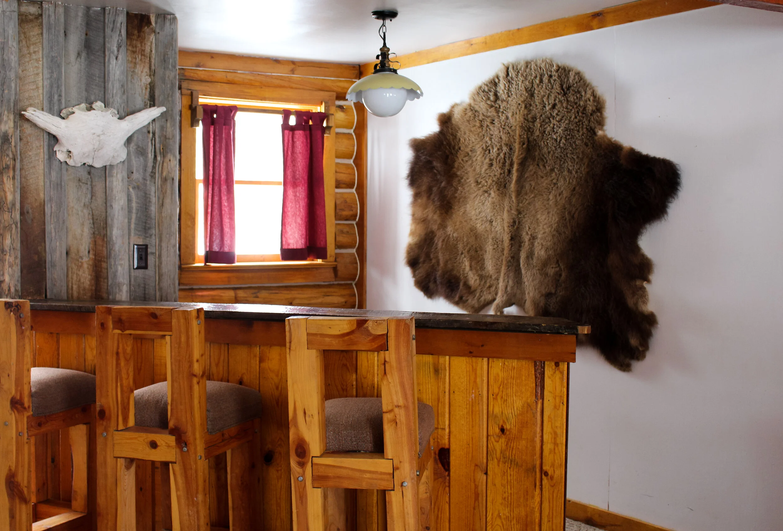 Cayuse — Circle Bar Ranch — Montana Dude Ranch