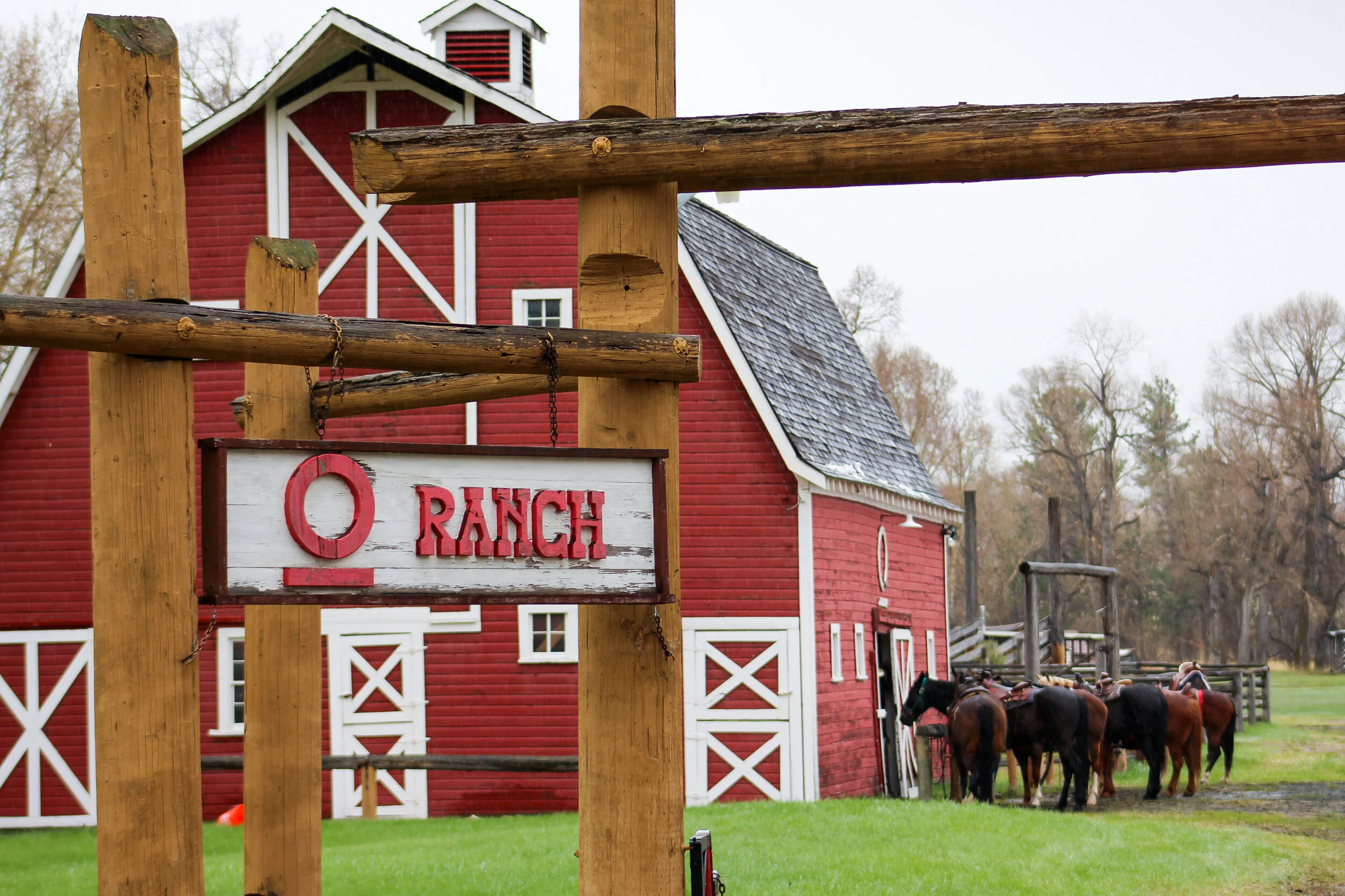 Contact — Circle Bar Ranch — Montana Dude Ranch