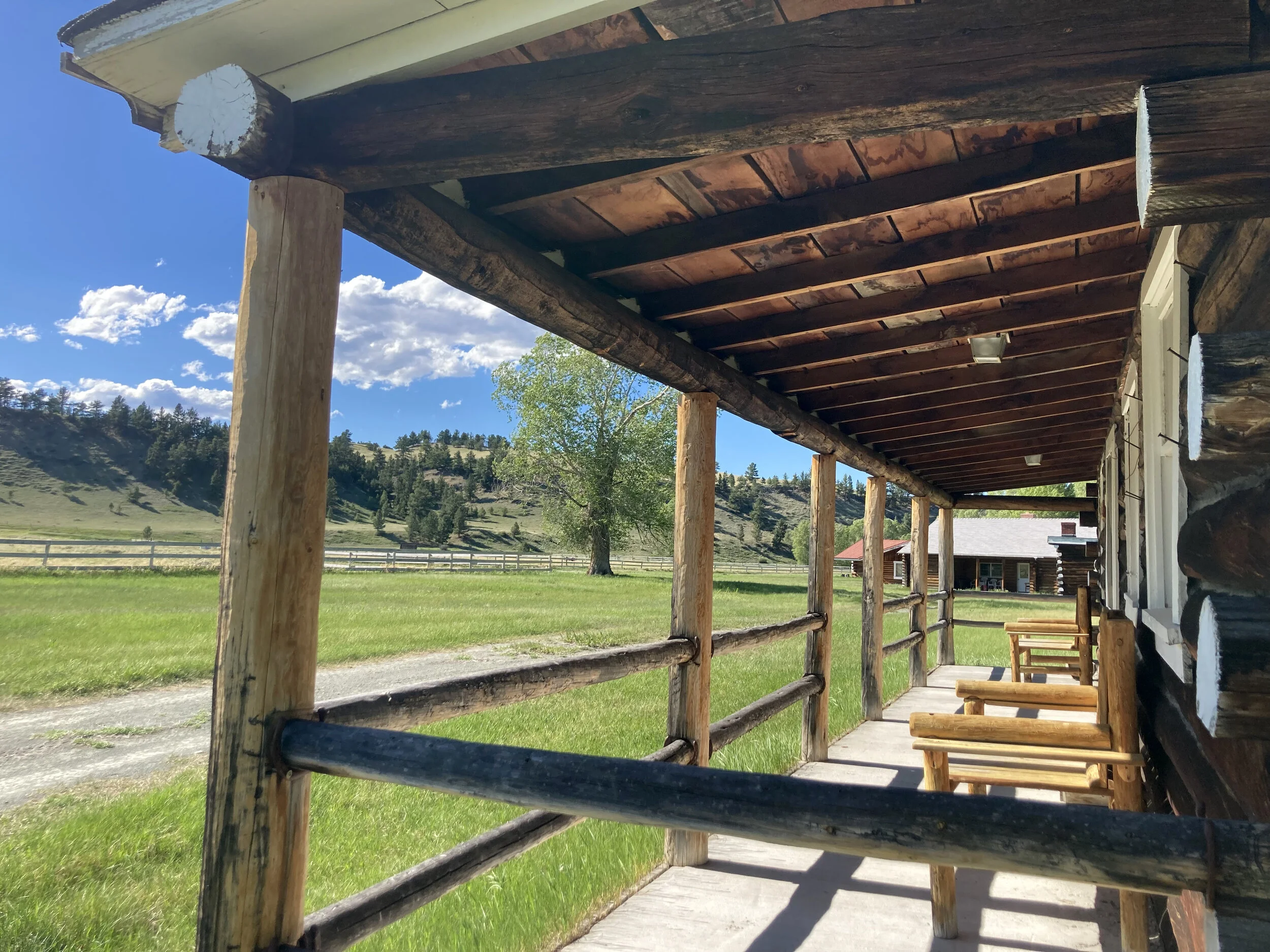 Cayuse — Circle Bar Ranch — Montana Dude Ranch