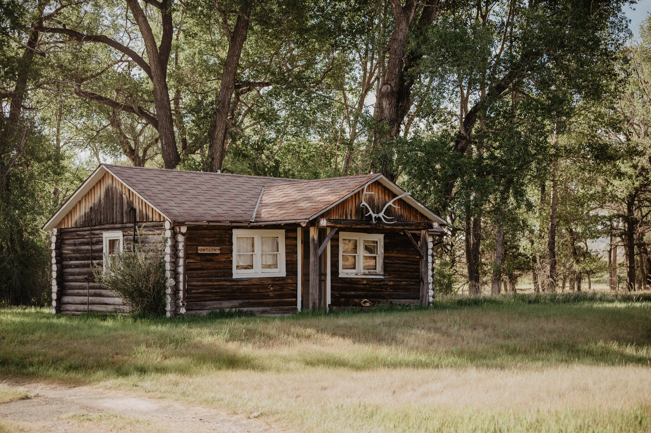 Outlaw — Circle Bar Ranch — Montana Dude Ranch
