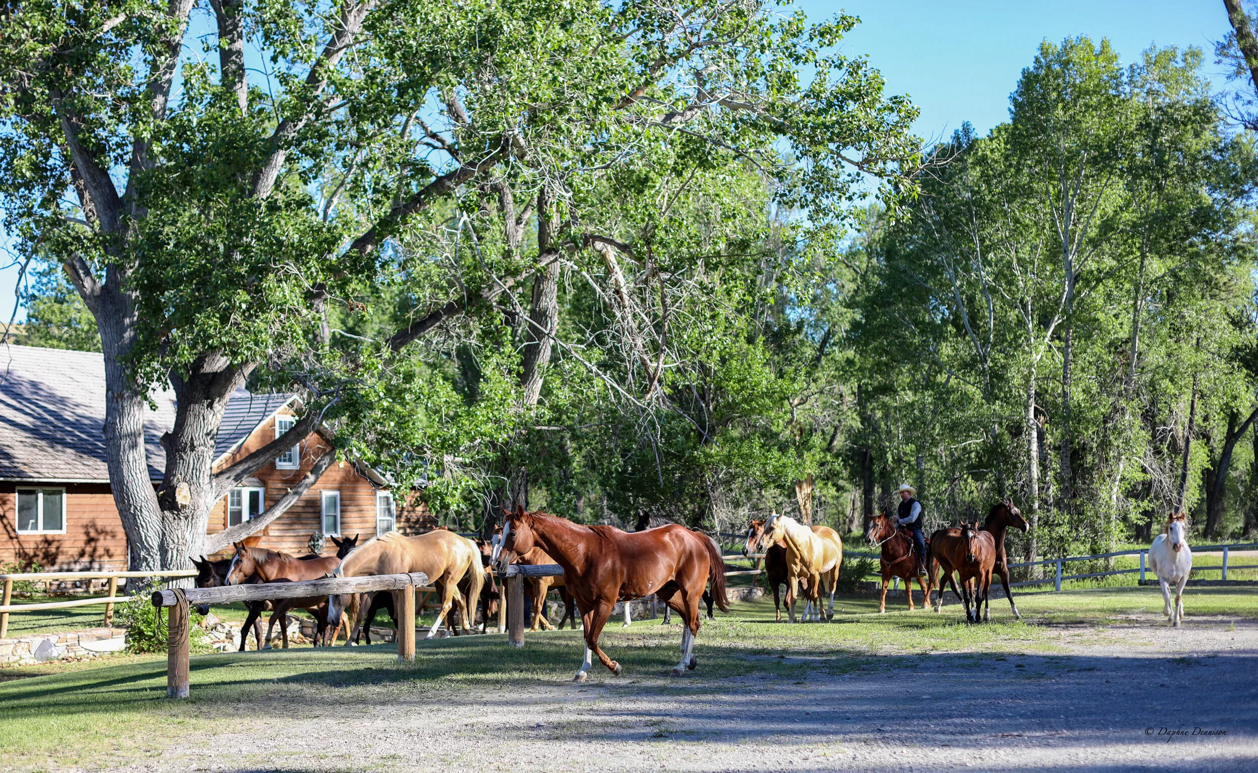 About — Circle Bar Ranch