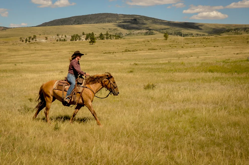 Horseback Riding — Circle Bar Ranch — Montana Dude Ranch