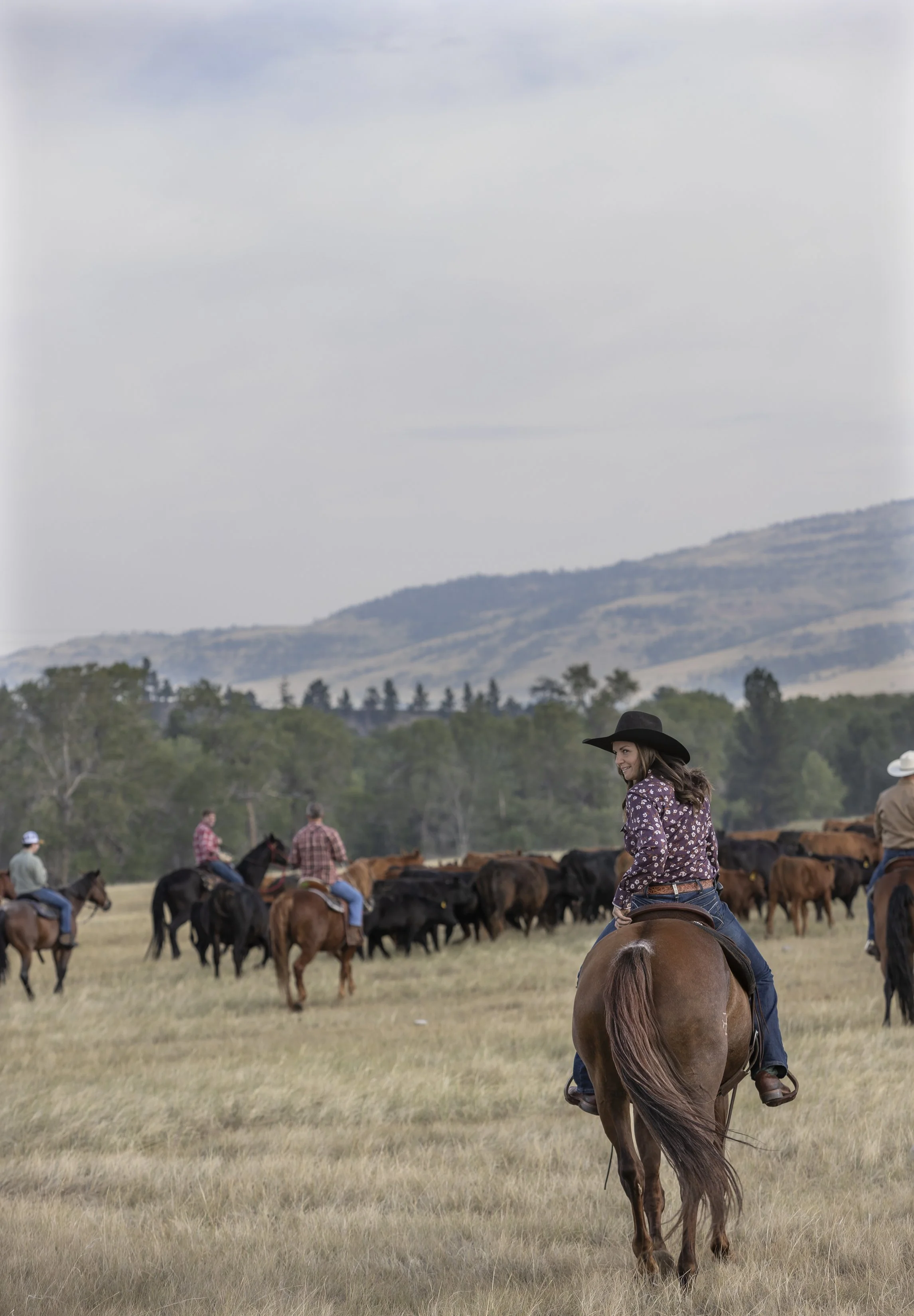 Horseback Riding — Circle Bar Ranch — Montana Dude Ranch