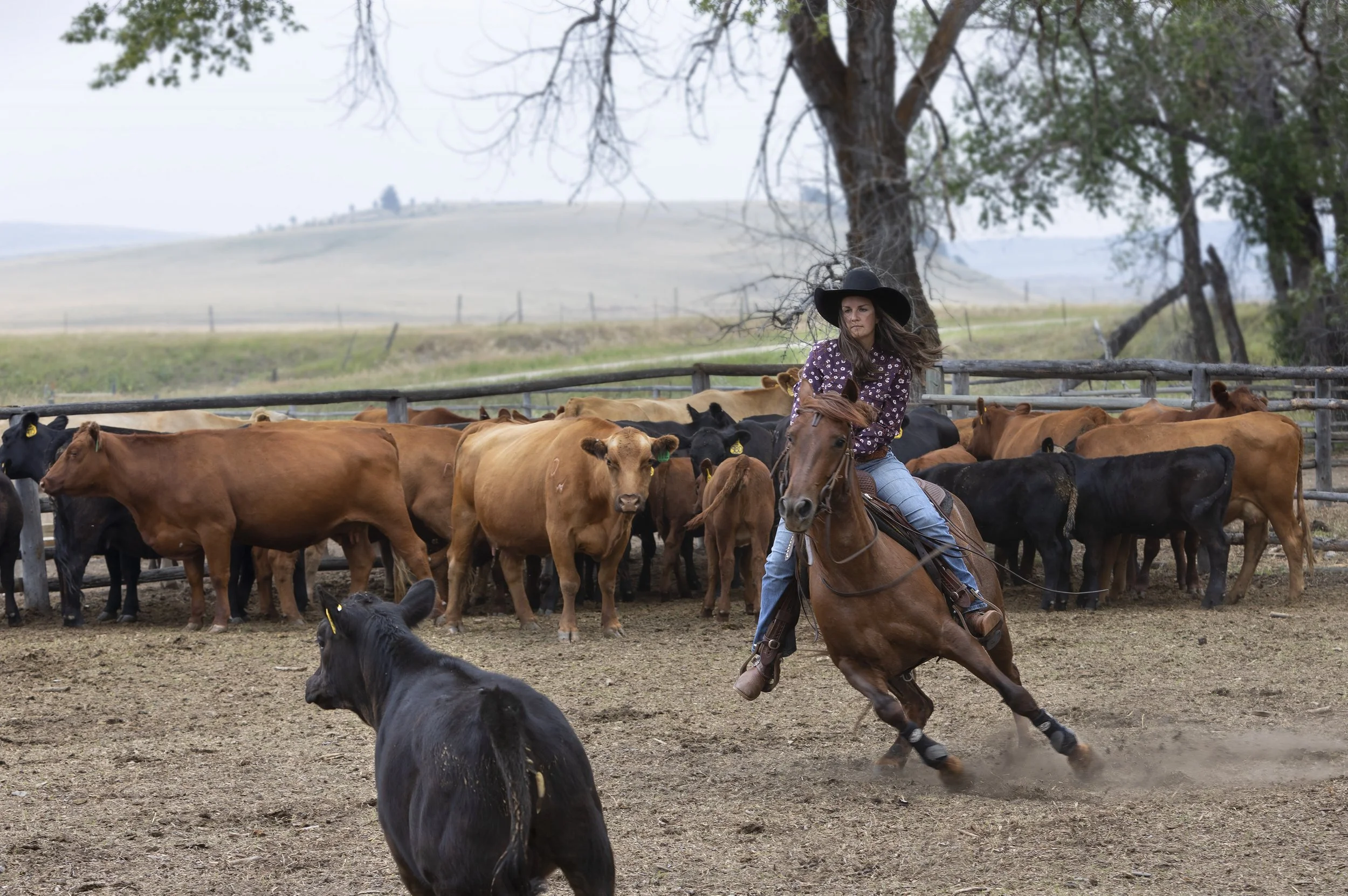 About — Circle Bar Ranch