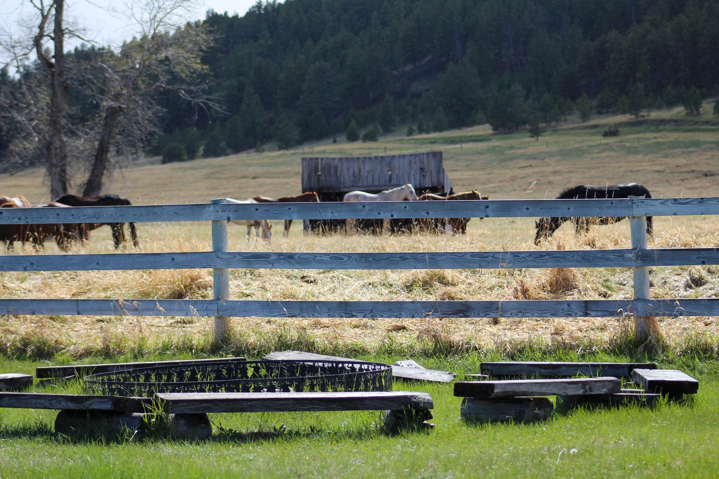 Amenities — Circle Bar Ranch — Montana Dude Ranch