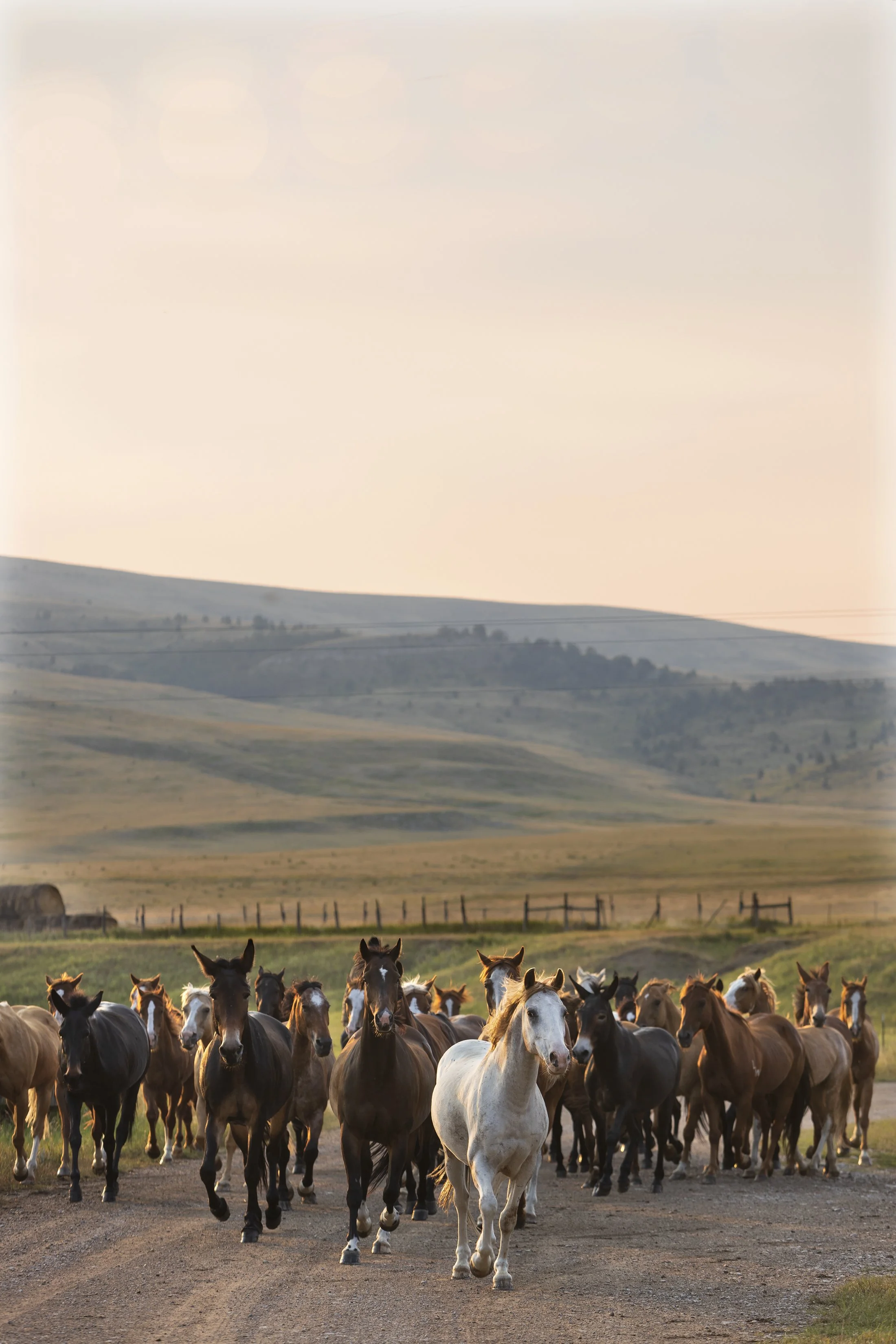 About — Circle Bar Ranch — Montana Dude Ranch