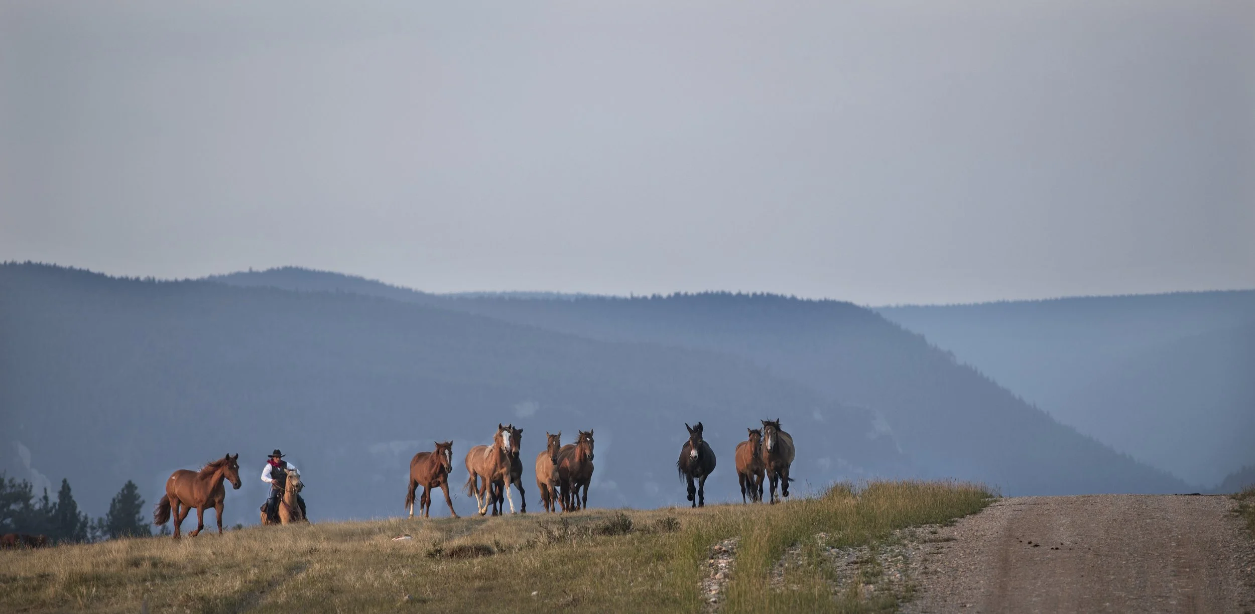 Circle Bar Ranch — Montana Dude Ranch