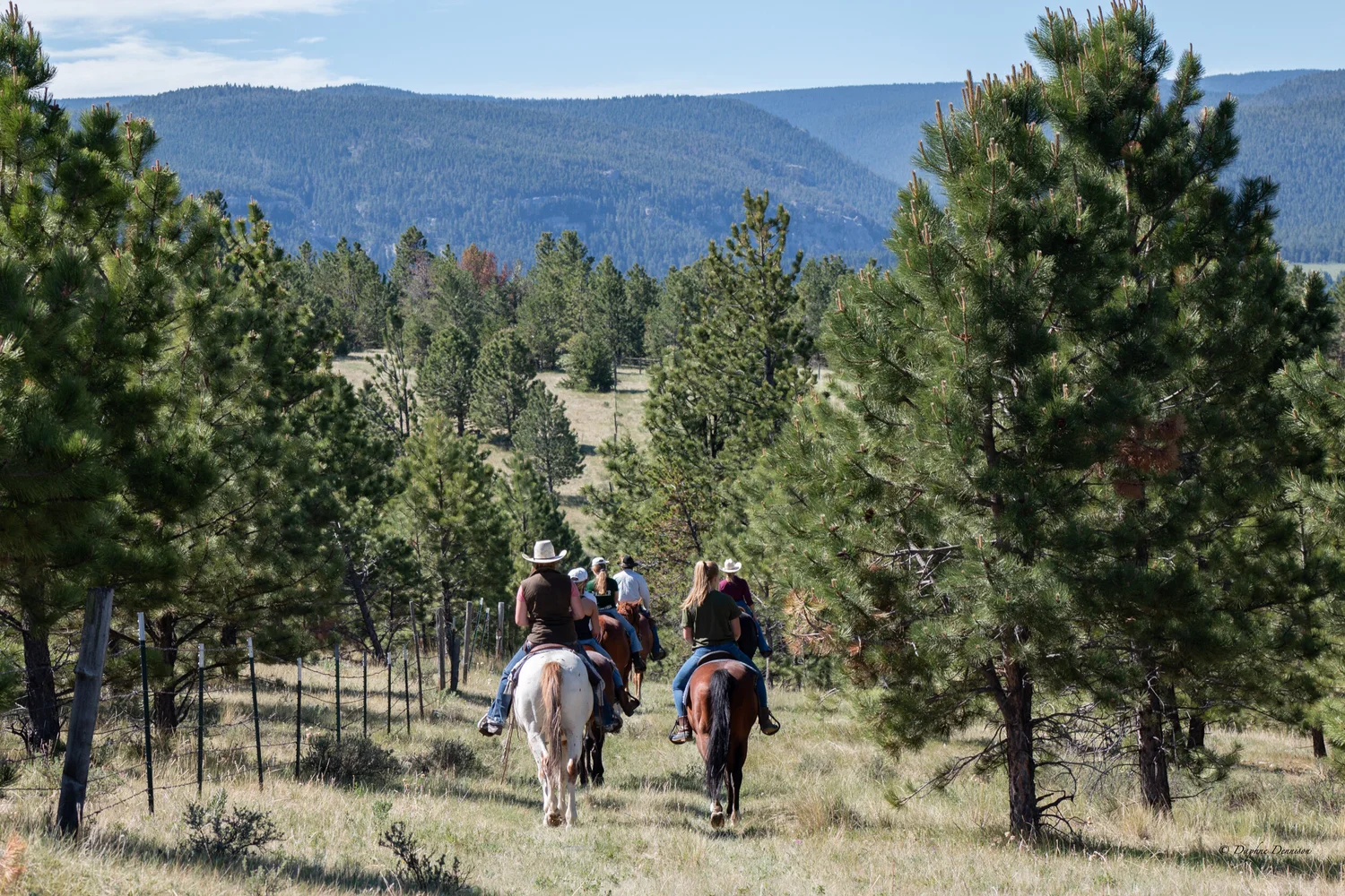 About — Circle Bar Ranch — Montana Dude Ranch