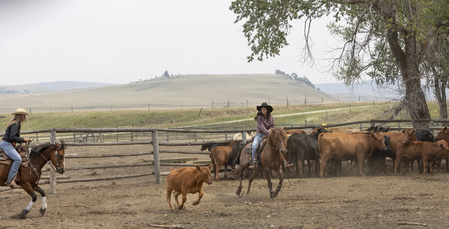 About — Circle Bar Ranch — Montana Dude Ranch