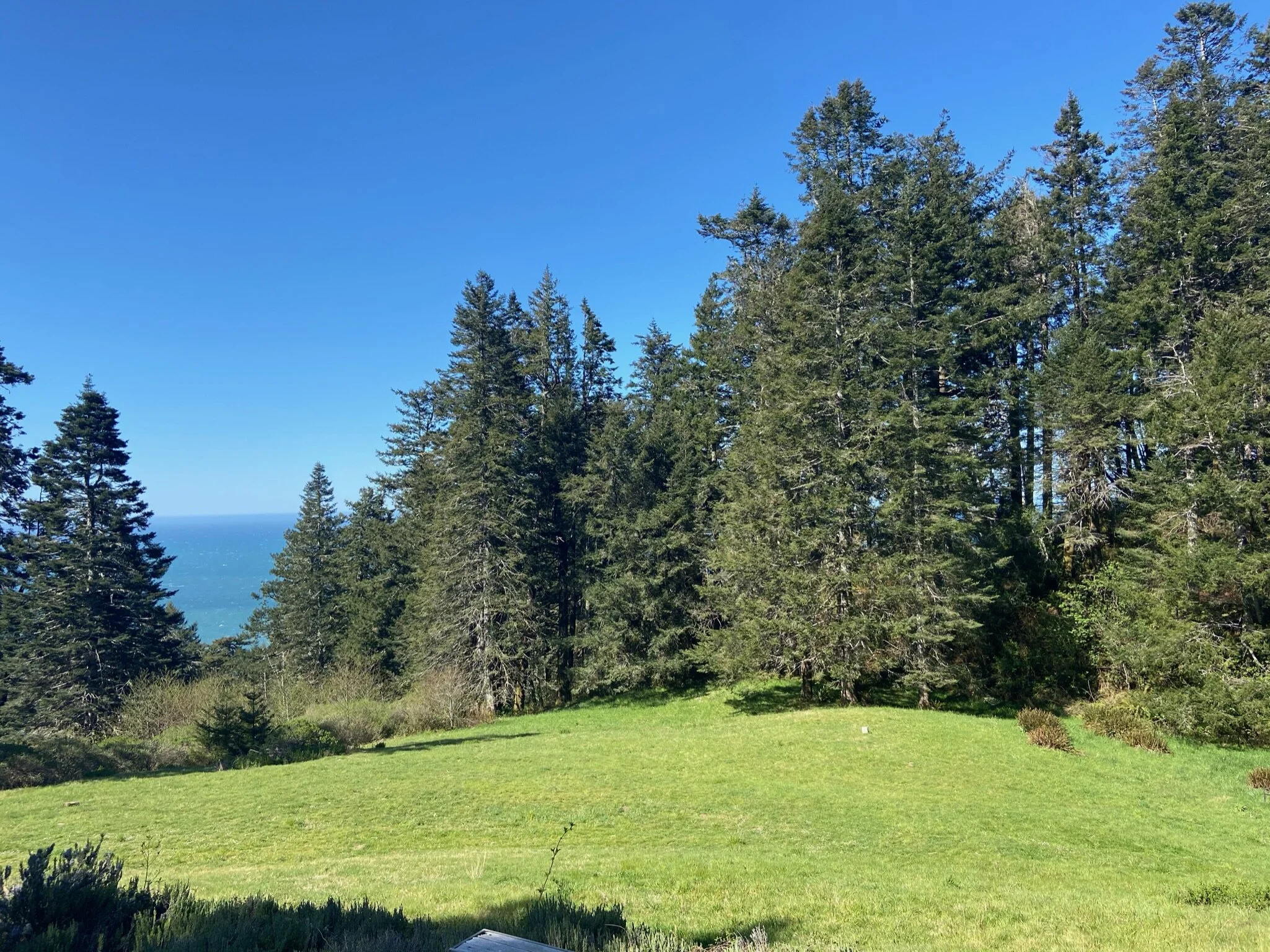 Mervue Estate — Crook Point