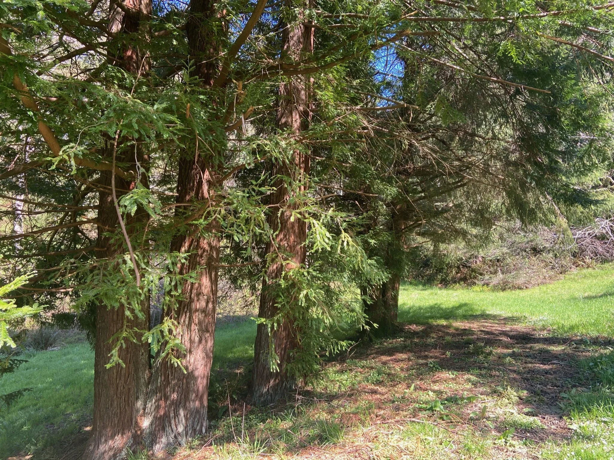 Mervue Estate — Crook Point