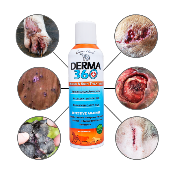 Grooms Hand Thrush & Wound Solutions
