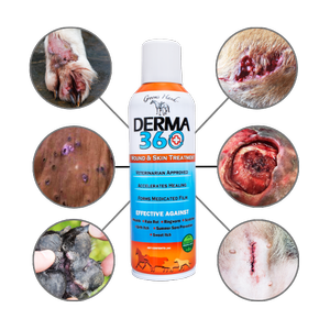 Grooms Hand Thrush & Wound Solutions