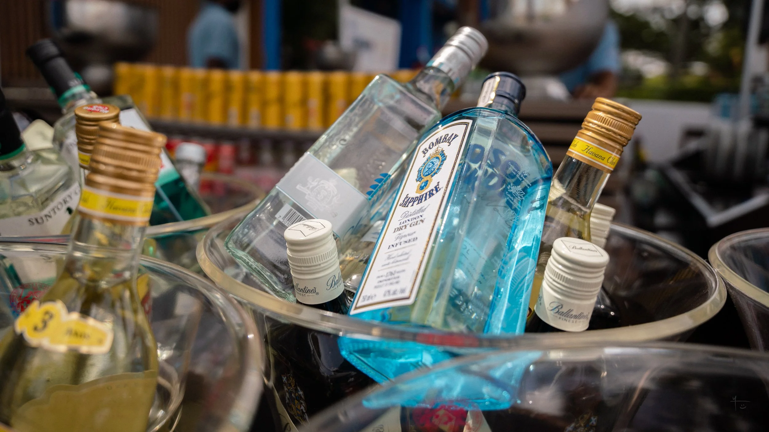 Raveland 2022 at One Farrer — Yoricko Liu Photography