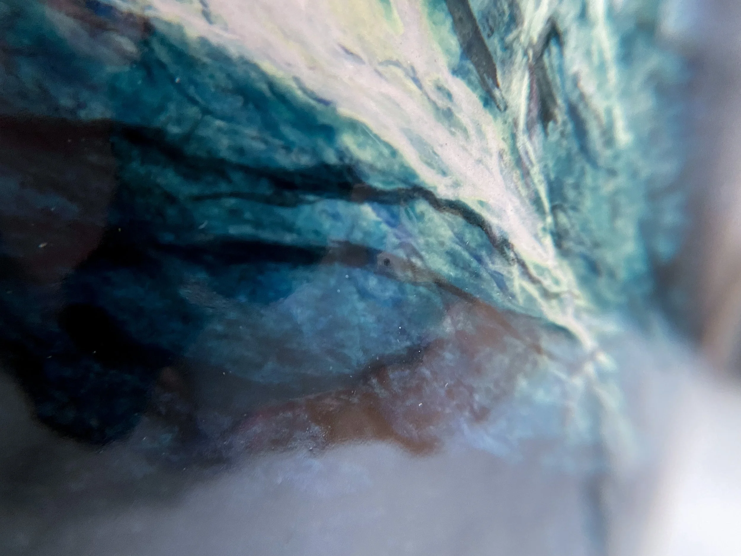 Portfolio — Amy Rae Hill