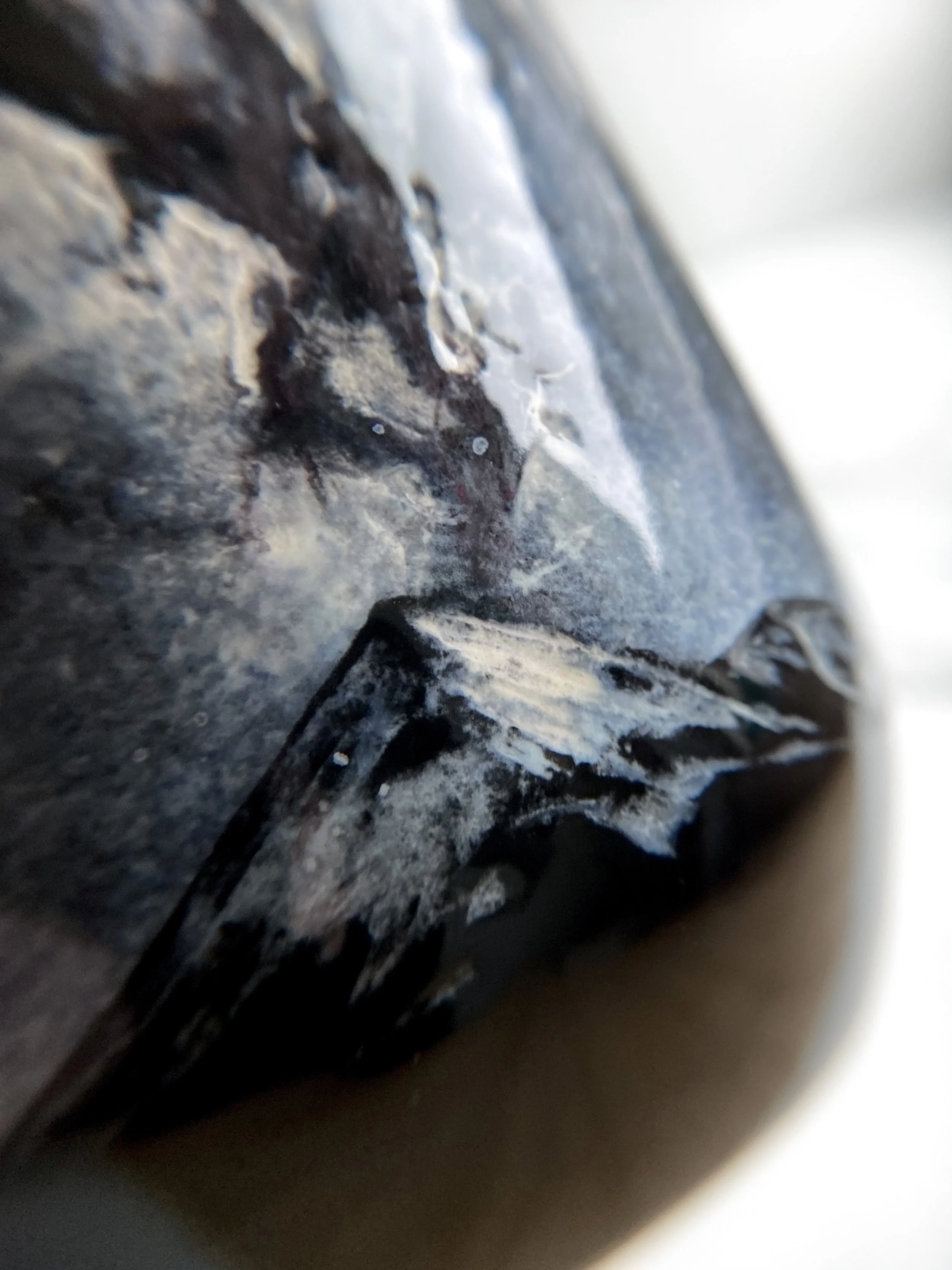 Services 1 — Amy Rae Hill