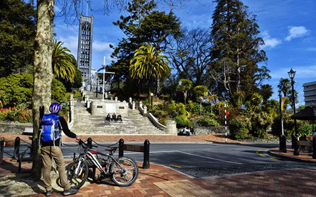 The Nelson Half Marathon