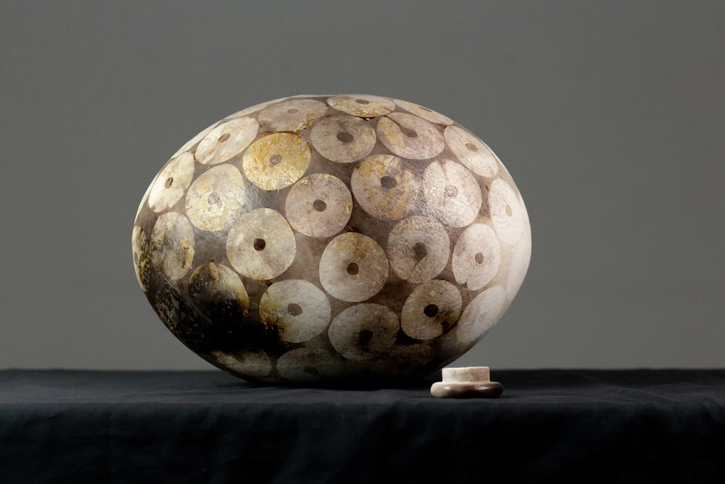 Gallery — JANE SHEPPARD