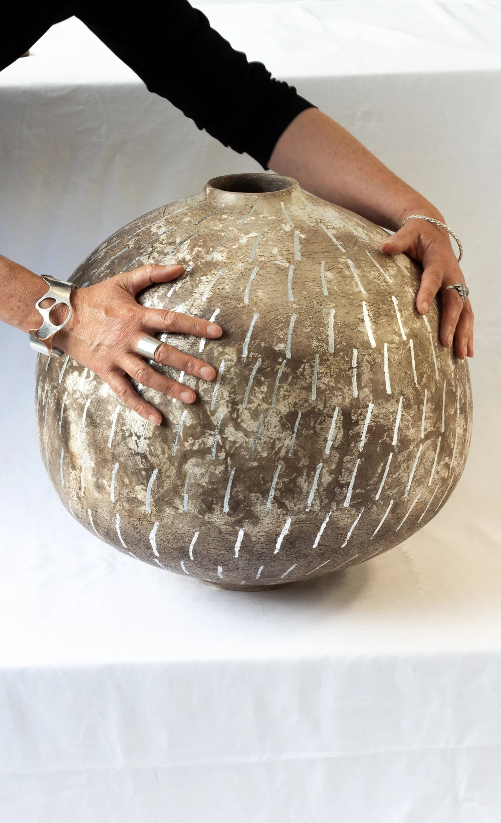 Gallery — JANE SHEPPARD