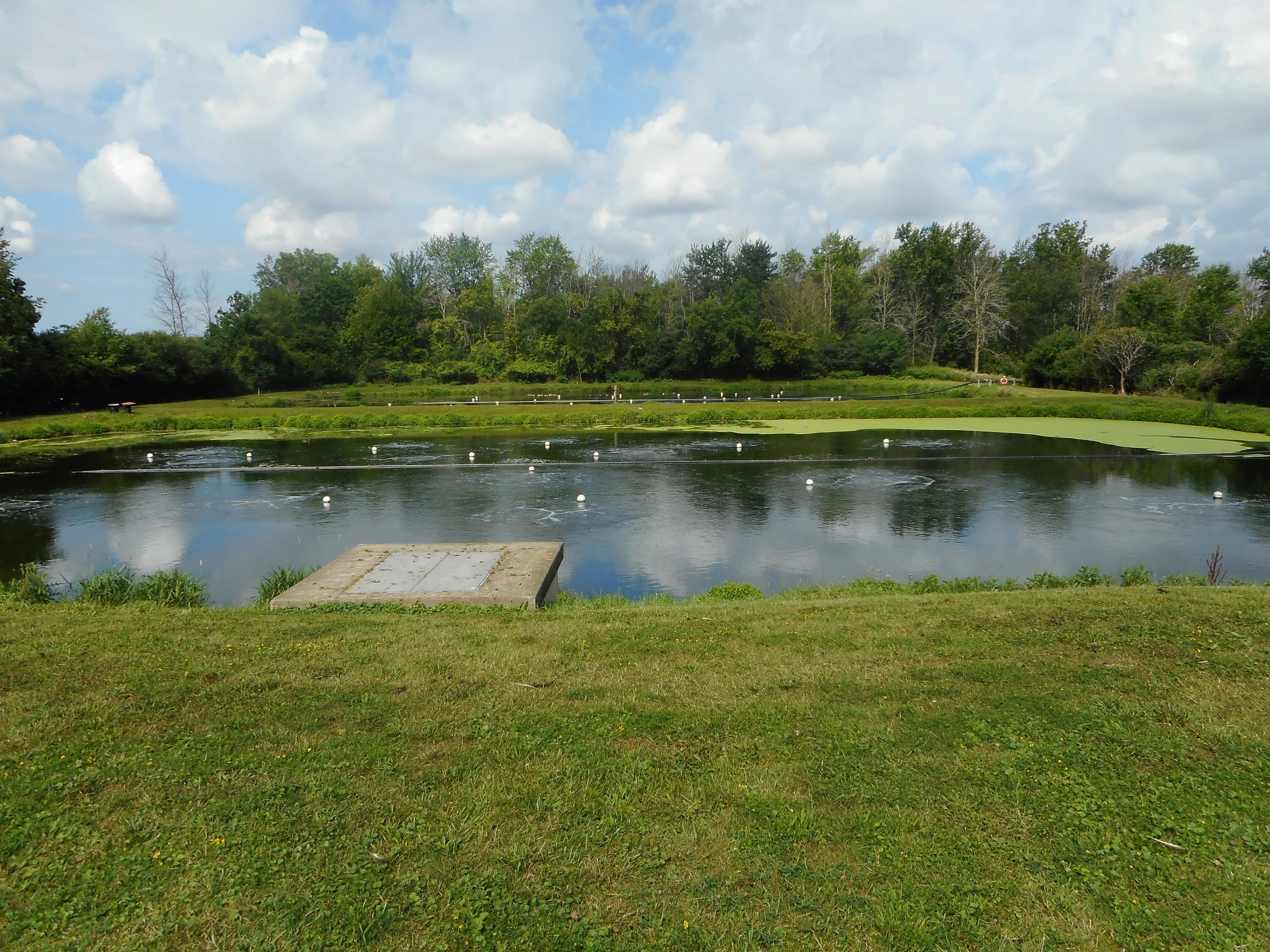 Services 2 — e&bSQUARED Consulting